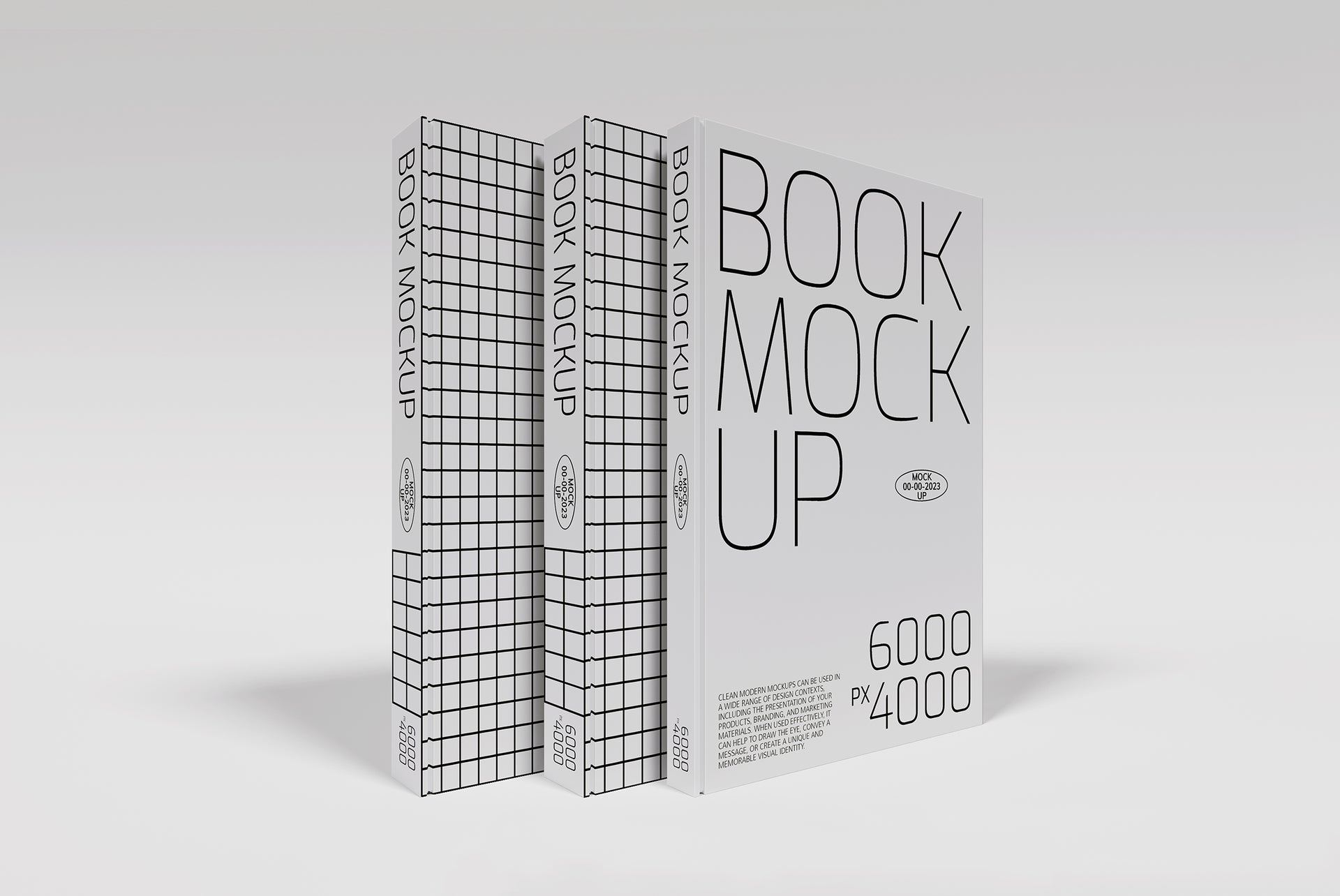 4 Book Mockups Set – Samolevsky